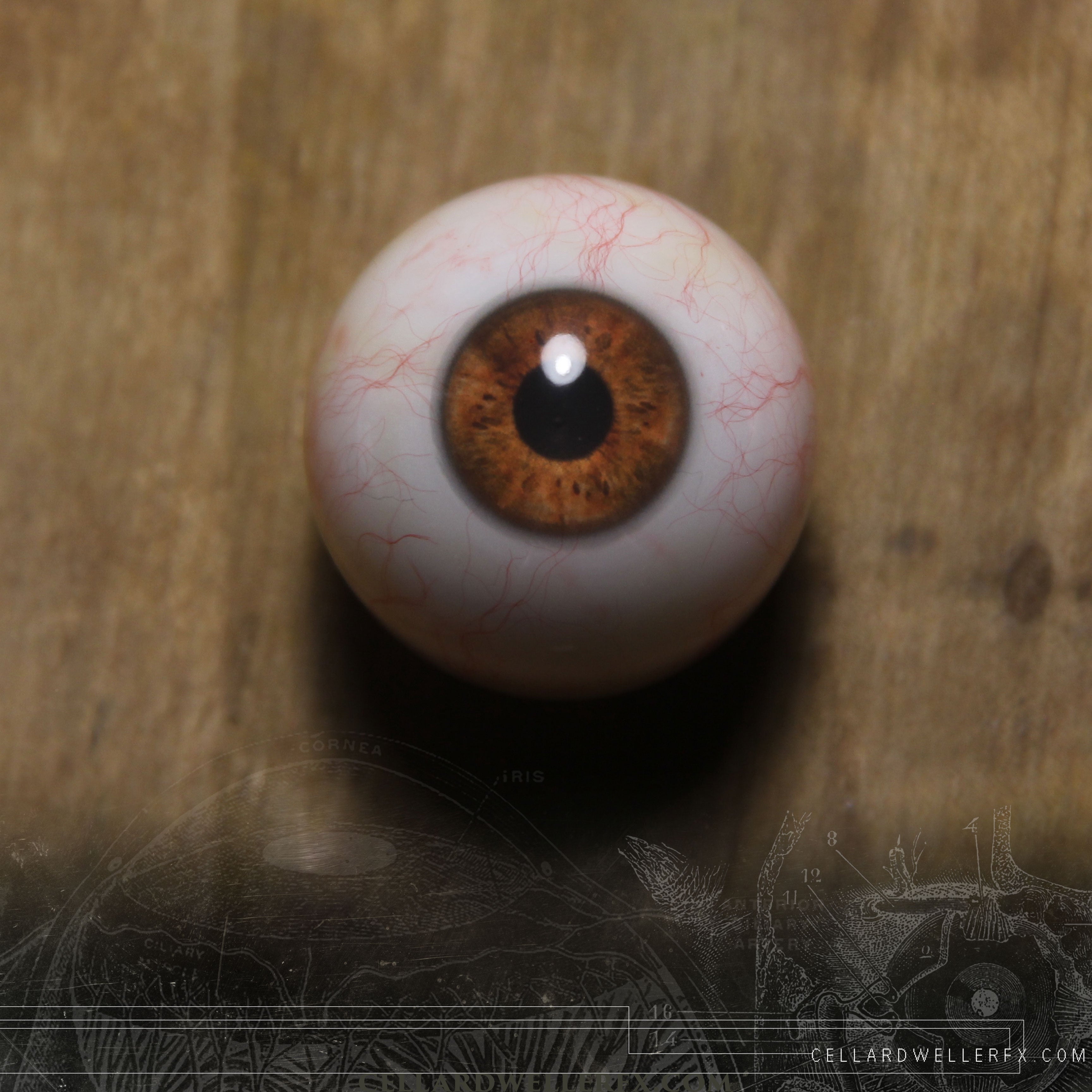 Cellar Dweller FX | Hyper realistic art. Silicone Masks & More!